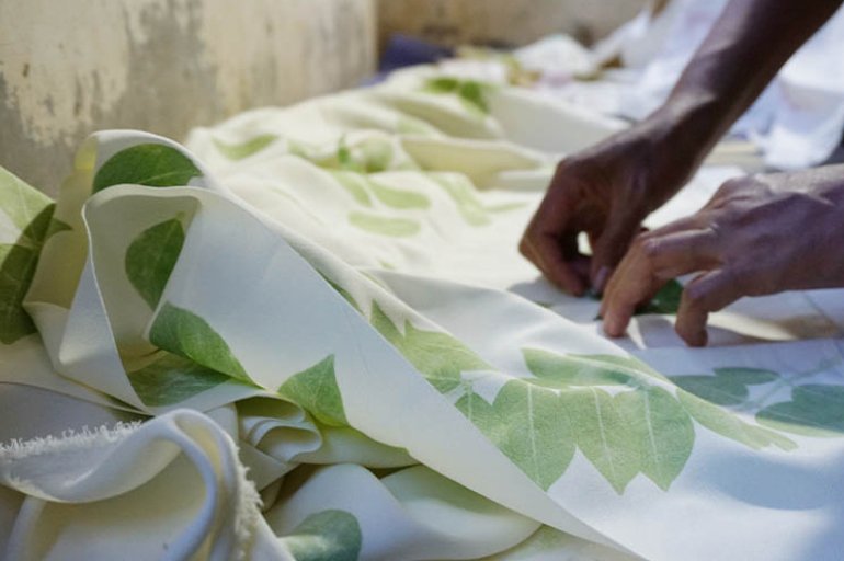 Jenis-jenis Tanaman Untuk Ecoprint