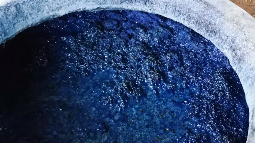 7 Fakta Mengejutkan Tentang Warna Indigo