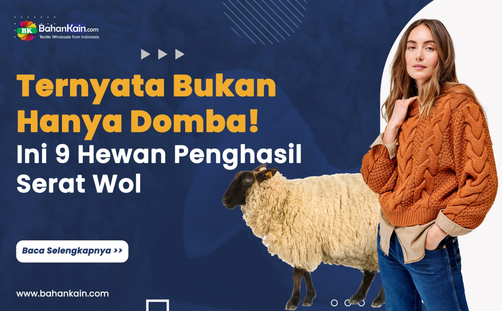 9 Hewan Penghasil Serat Wol, Ternyata Bukan Hanya Domba!